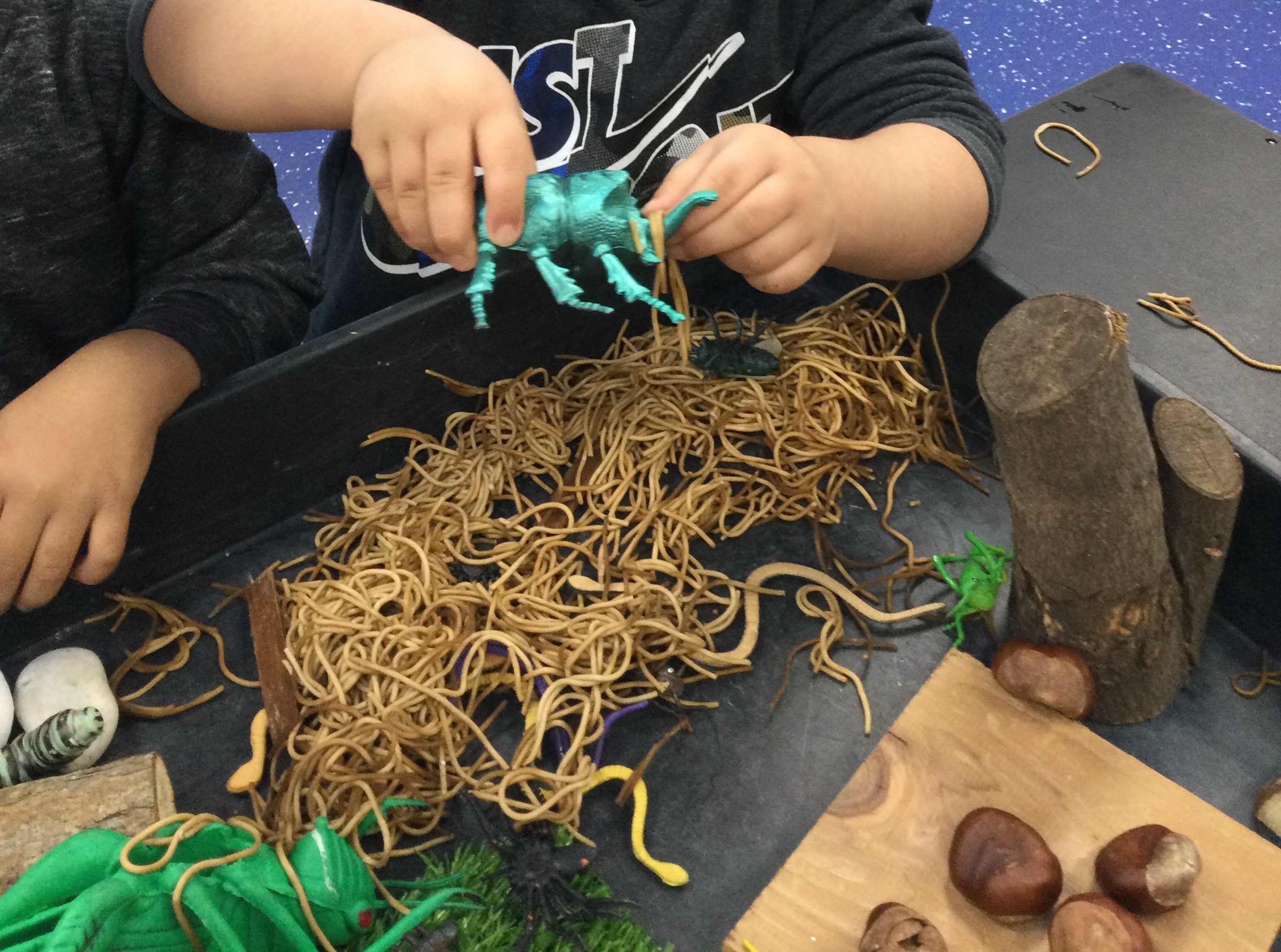 Nurseries | The Springfield Project CHarity